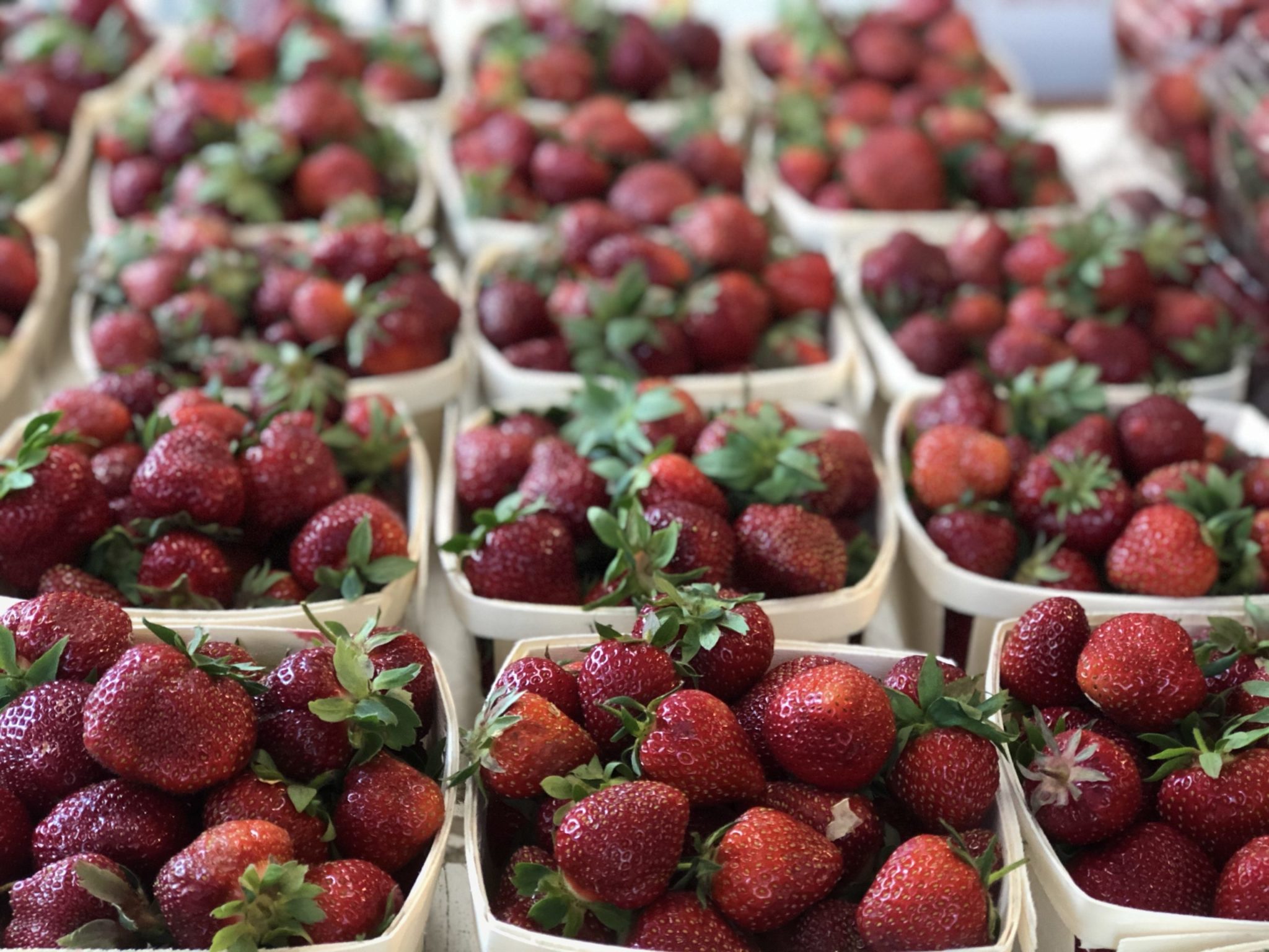 IMG_0346 - Bishop's Orchards